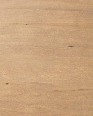 Sean Scherer's Vignettes – Bungalow Scottsdale